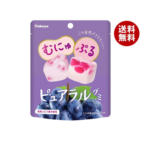 ※送料無料（北海道・沖縄・離島は送料無料対象外です。）お菓子 グミ 袋 グレープ 葡萄 ぶどう PURERAL