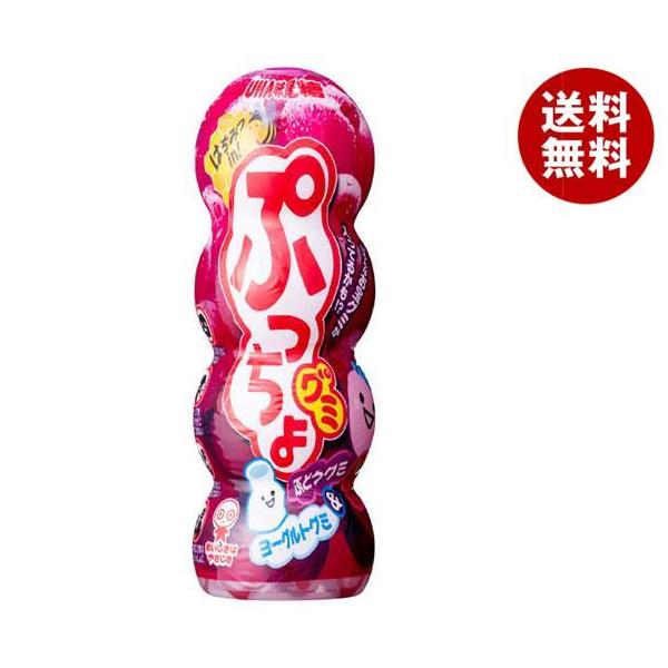 ※送料無料（北海道・沖縄・離島は送料無料対象外です。）