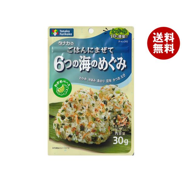 ※送料無料（北海道・沖縄・離島は送料無料対象外です。）ふりかけ チャック袋 調味料 まぜごはんの素