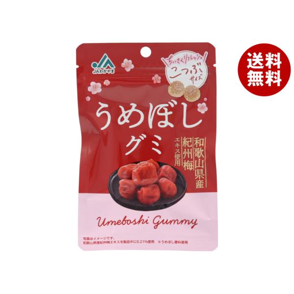 ※送料無料（北海道・沖縄・離島は送料無料対象外です。）