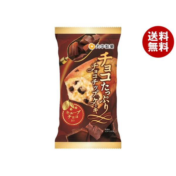 ※送料無料（北海道・沖縄・離島は送料無料対象外です。）お菓子 洋菓子 チョコチップ チョコ ケーキ