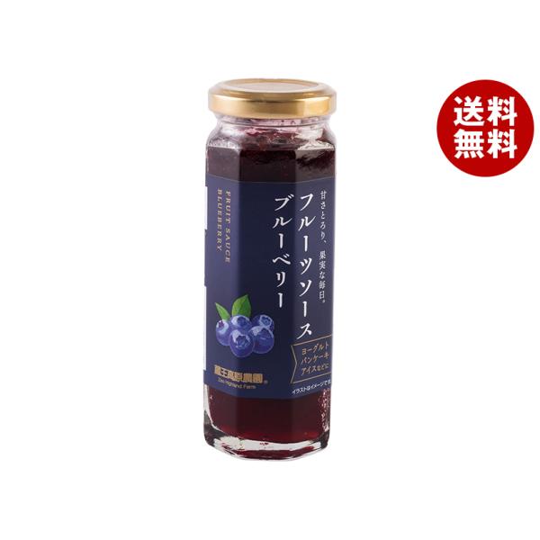※送料無料（北海道・沖縄・離島は送料無料対象外です。）調味料 フルーツ ソース 果物 ブルーベリー