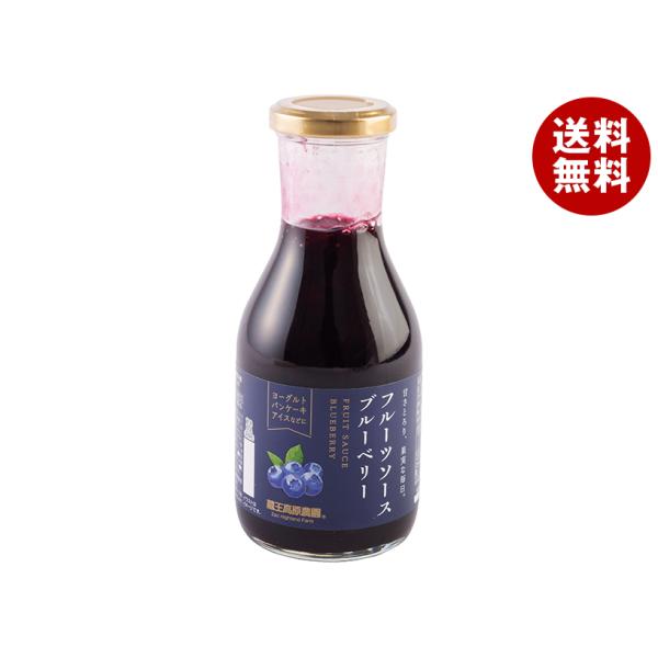 ※送料無料（北海道・沖縄・離島は送料無料対象外です。）調味料 ブルーベリー ソース 果物