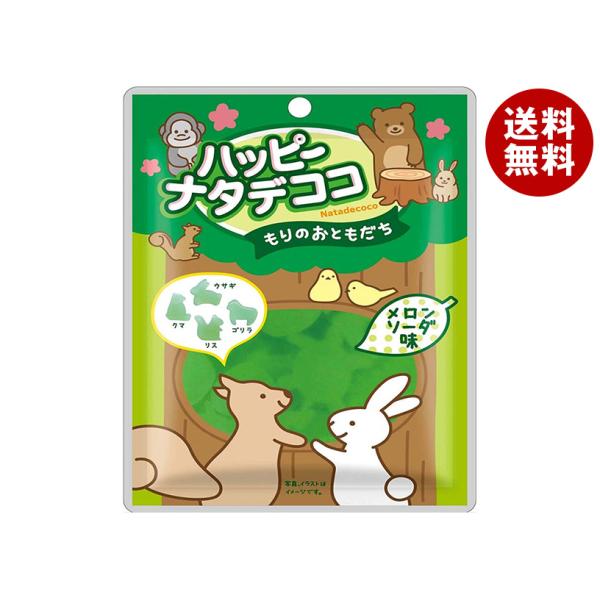 ※送料無料（北海道・沖縄・離島は送料無料対象外です。）お菓子 おやつ 菓子材料 袋 メロンソーダ