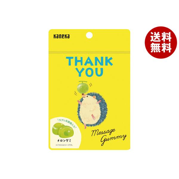 ※送料無料（北海道・沖縄・離島は送料無料対象外です。）グミ メロン メッセージ THANK YOU ありがとう
