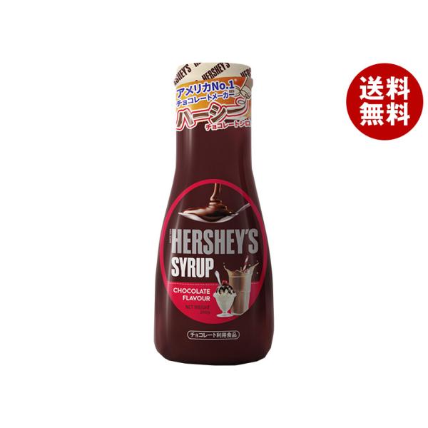 ※送料無料（北海道・沖縄・離島は送料無料対象外です。）調味料 シロップ チョコレート トッピング