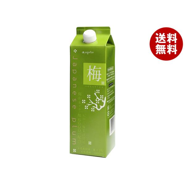 ※送料無料（北海道・沖縄・離島は送料無料対象外です。）紙パック 乳性 ドリンク 1L 1l 果汁 希釈用 乳酸飲料