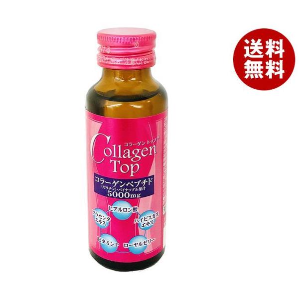 ※送料無料（北海道・沖縄・離島は送料無料対象外です。）