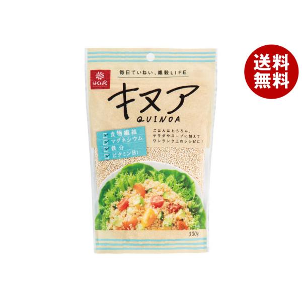 ※送料無料（北海道・沖縄・離島は送料無料対象外です。）食物繊維 鉄分 マグネシウム