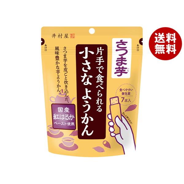 ※送料無料（北海道・沖縄・離島は送料無料対象外です。）お菓子 和菓子 羊羹 塩 小豆 ようかん