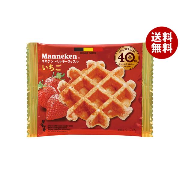 ※送料無料（北海道・沖縄・離島は送料無料対象外です。）洋菓子 焼き菓子 お菓子 おやつ ストロベリー イチゴ