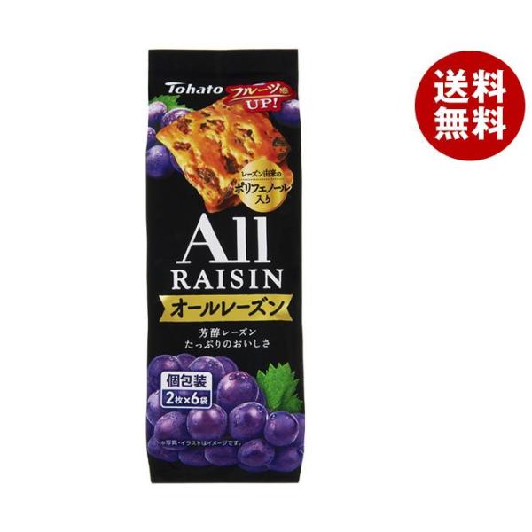 ※送料無料（北海道・沖縄・離島は送料無料対象外です。）