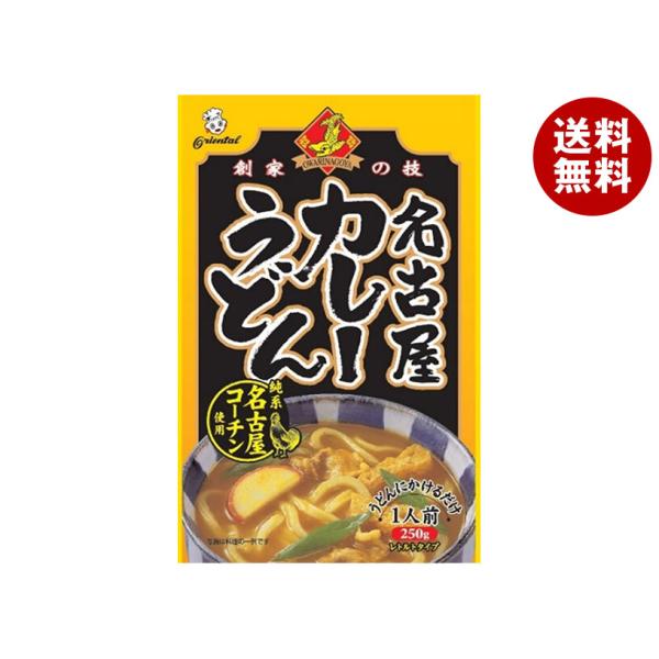 ※送料無料（北海道・沖縄・離島は送料無料対象外です。）一般食品 カレー レトルト カレーうどん