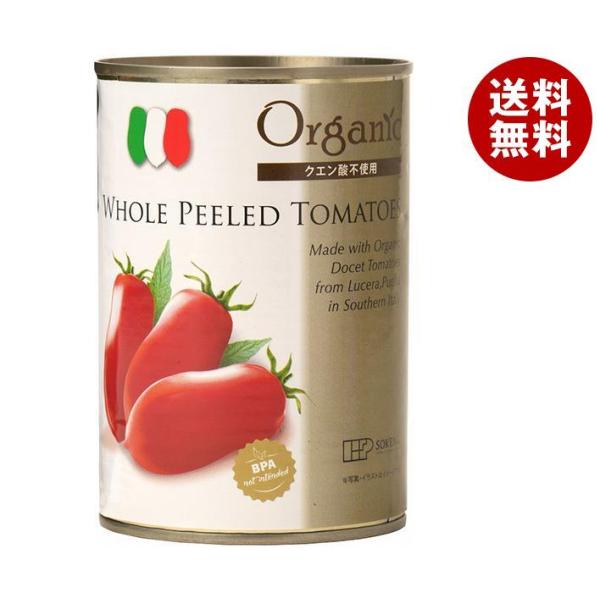 ※送料無料（北海道・沖縄・離島は送料無料対象外です。）