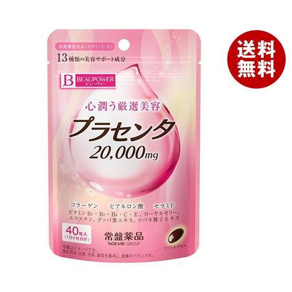 ※送料無料（北海道・沖縄・離島は送料無料対象外です。）