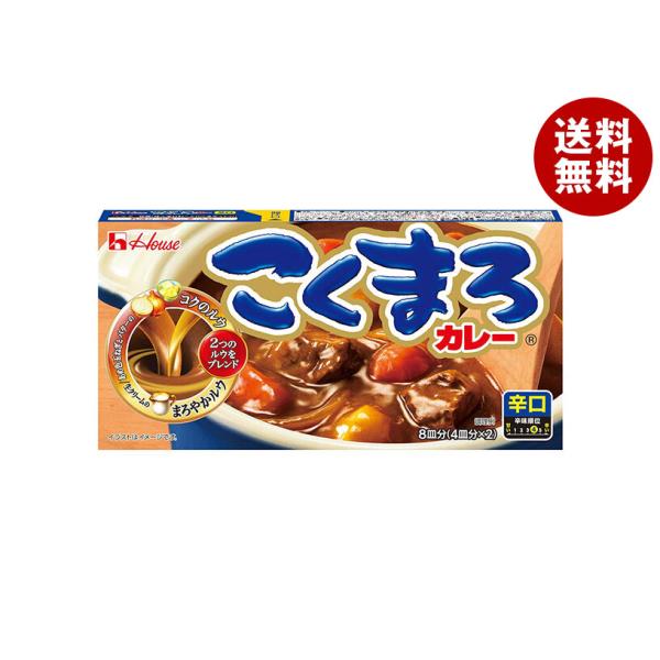 ※送料無料（北海道・沖縄・離島は送料無料対象外です。）カレー カレールー カレー 辛口 調味料