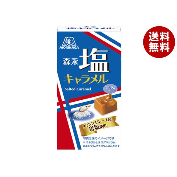 ※送料無料（北海道・沖縄・離島は送料無料対象外です。）塩 キャラメル ソフトキャラメル 塩スイーツ ミルク キャンディ お菓子 駄菓子