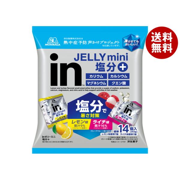 ※送料無料（北海道・沖縄・離島は送料無料対象外です。）ゼリー 熱中症対策 塩分 ライチ レモン