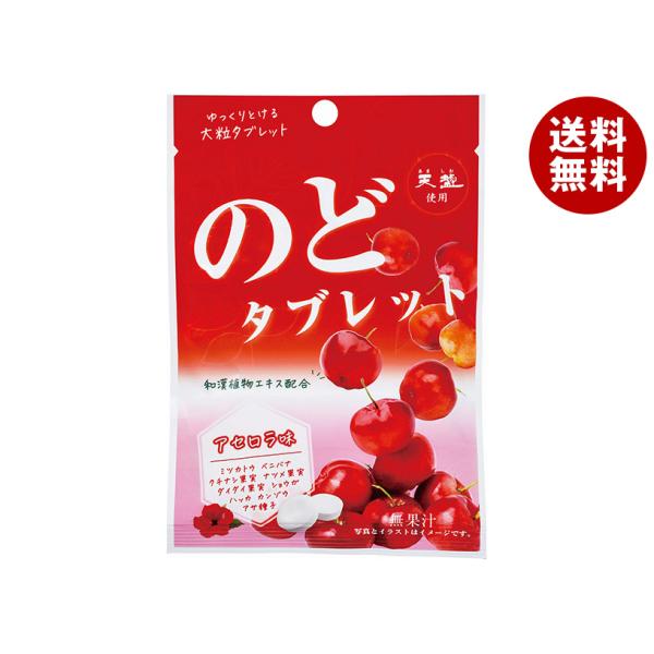 ※送料無料（北海道・沖縄・離島は送料無料対象外です。）お菓子 のどタブレット アセロラ味 のど飴 喉のケア 冬