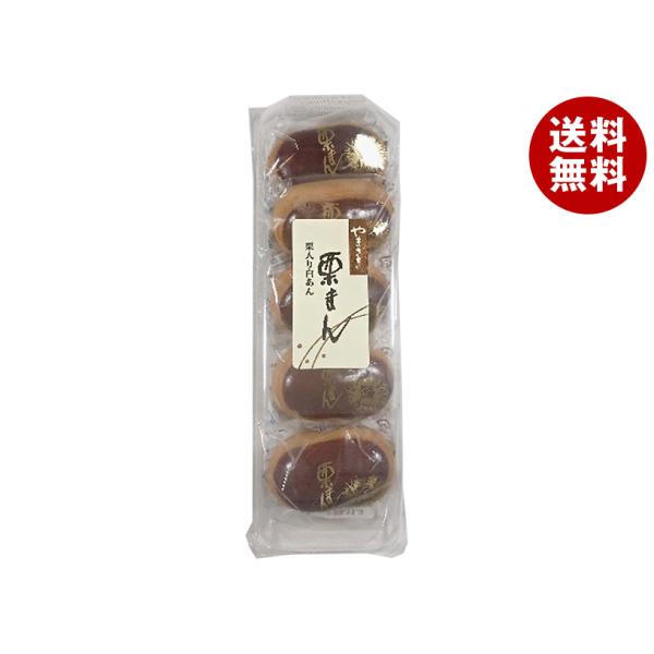 ※送料無料（北海道・沖縄・離島は送料無料対象外です。）