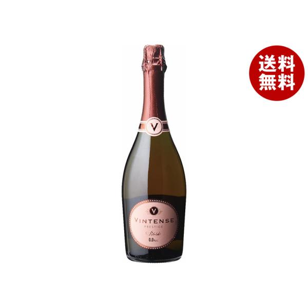 ※送料無料（北海道・沖縄・離島は送料無料対象外です。）