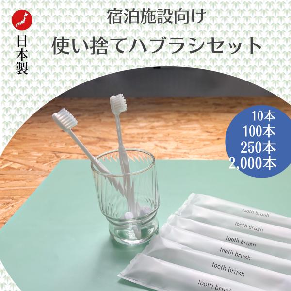 ■商品名：マット袋入 ハブラシセット■数量：10本セット（カラーホワイト）■製造国（メーカー）：日本製（ダイト）■納期：受注後 2〜5日 営業日以内発送■商品の仕様【ハブラシ】素材：ハンドル：ポリプロピレン 　毛先：植毛部分 P・B・T毛仕...