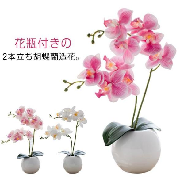 サイズ：約20*35cm