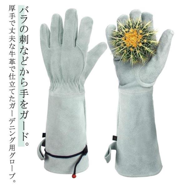 全長42cm 手のひら11.5cm