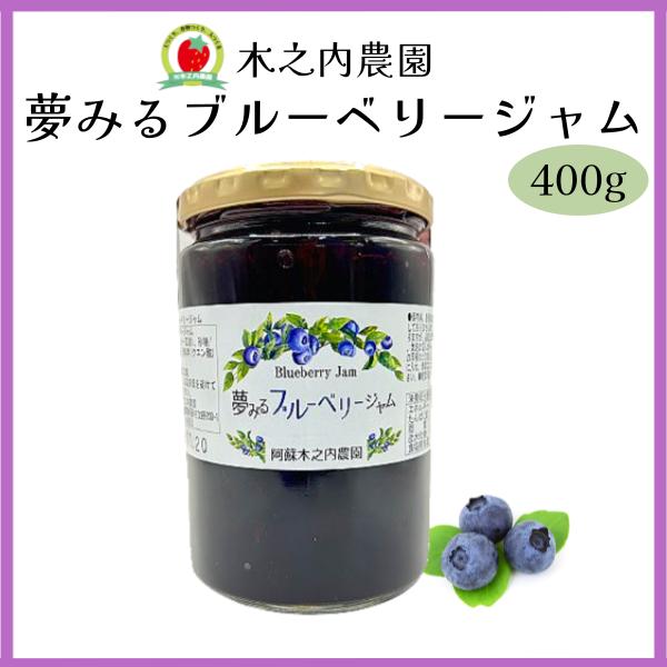 【発売日：2025年02月27日】木之内農園のごろっとのせる感覚の低糖度ブルーベリージャムです。熊本産を中心に国産のブルーベリーをふんだんに使用した、手作りブルーベリージャム。ヨーグルトにたっぷり入れるのがオススメです♪クリームチーズ等と一...