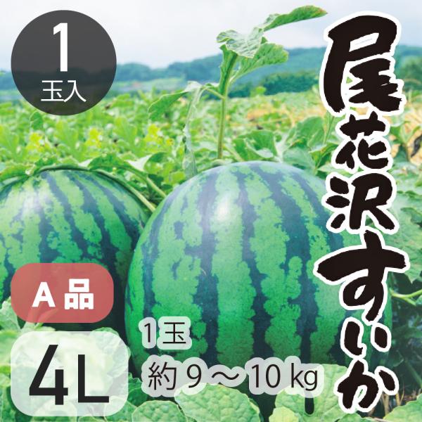 【発売日：2026年07月20日】夏すいか日本一の産地からお届けする尾花沢すいかです！JAみちのく村山管内の気候は、すいかの栽培に適しており、昼夜の寒暖差が甘さを引きだします。生産者の高い栽培技術と愛情がたくさん詰まったすいかです。選果場で...