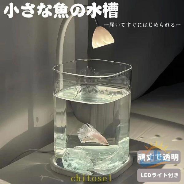 商品説明       　商品詳細  素材：ガラス  商品サイズ：  24.5*15*10  【特徴 】卓上花瓶 、卓上水槽とてもクリエイティブな作品です。人気が高まってきている水耕栽培は、水槽の中でもできること。水槽の中で行う水耕栽培は、魚...