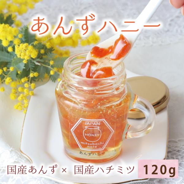 商品名：あんずハニー 内容量：120g賞味期限：製造から1年保存方法：直射日光を避け、冷暗所で保管原材料：国産はちみつ・あんず（国産）製造者：みつばちのーと 田中章雄　　　　静岡県伊東市岡1334-1ご注意：＊1歳未満の乳児には与えないでください