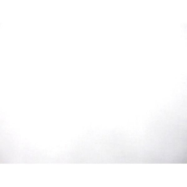 T/Cブロード生地 　白   約112cm幅　　 No.199ポリエステル 65％　　綿 35％ポリエステルと綿の混紡なので、綿100%の物より「しわ」になりにくい素材です。エプロンやブラウス、カッターなどに使えます。0.5ｍ~1.5mのご...