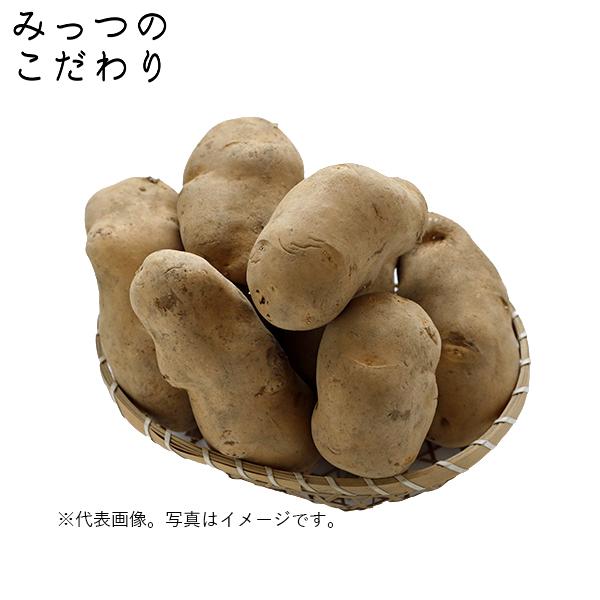 【商品名】じゃがいもメークイン【内容量】3kg（Ｌ〜２Ｌ ）【産地】国産