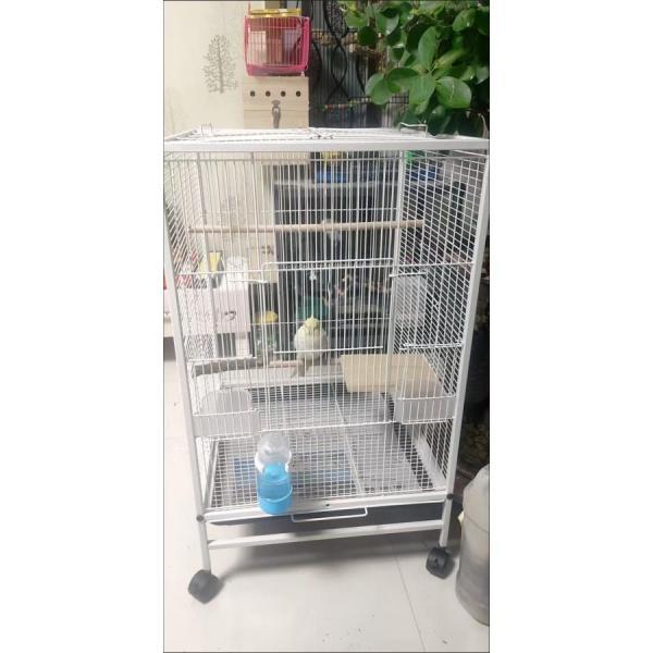 クリアアクリル鳥かご 複数飼い大型インコ ケージ セキセイインコゴザクラインコオカメインコ鳥籠 ペットケージは猫用、犬用どちらにもご利用いただけます