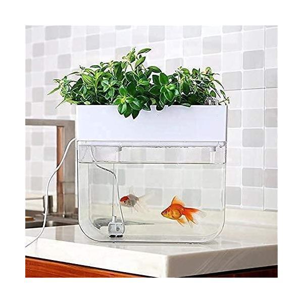 非水切りフラワーポット：自動サイフォン設計により、植え付けタンクの水位を風のように変動させることができ、植物の根は自由に呼吸できるため、水を使わずに養魚や施肥の水を変えることができません。共生生態系：水族館の水槽は、魚、野菜、微生物の魔法の...
