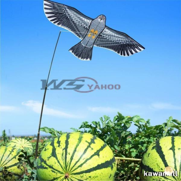 鳥よけ カイト 鷹 (ポール竿付) 軽量丈夫 防鳥具 鳥追い 畑 植物保護 農業用 カイト鷹 1.5m凧 4mポール