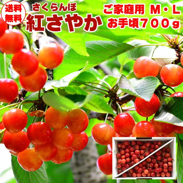 【発売日：2026年06月05日】紅さやかは早生（わせ）の品種で佐藤錦よりも1〜2週間ほど早く収穫されます。そのため世の中にいち早く広まるのがこの「紅さやか」です。初夏の味を先取りできあす。ただ、味は佐藤錦と比べてしまうとどうしても旨味がな...
