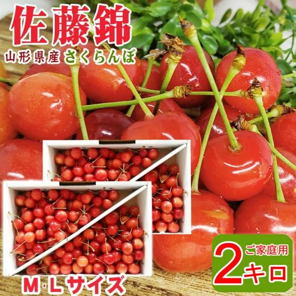 【発売日：2026年06月20日】・「さくらんぼ」は大変デリケートな果物でございます。粒により収穫日が異なり、２週間の「旬」の間にほどんどの粒は食べごろを迎えます。当店では一番「旬」の「さくらんぼ」を収穫後24時間以内に発送します。・色むら...