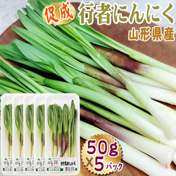 山形県では、山菜やきのこを活かした食文化が古くから根付き、雪深い冬の厳しい寒さの間に、ビニールハウス内で加湿し栽培する「促成山菜」の栽培が行われています。美味しいのはもちろん、天ぷら、炊き込みご飯、和え物、肉巻き、おひたし、煮物やパスタの具...