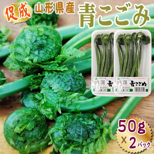 山形県では、山菜やきのこを活かした食文化が古くから根付き、雪深い冬の厳しい寒さの間に、ビニールハウス内で加湿し栽培する「促成山菜」の栽培が行われています。美味しいのはもちろん、天ぷら、炊き込みご飯、和え物、肉巻き、おひたし、煮物やパスタの具...