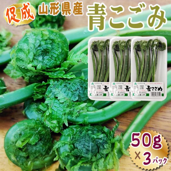 山形県では、山菜やきのこを活かした食文化が古くから根付き、雪深い冬の厳しい寒さの間に、ビニールハウス内で加湿し栽培する「促成山菜」の栽培が行われています。美味しいのはもちろん、天ぷら、炊き込みご飯、和え物、肉巻き、おひたし、煮物やパスタの具...