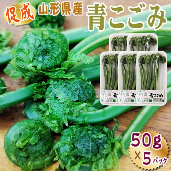 山形県では、山菜やきのこを活かした食文化が古くから根付き、雪深い冬の厳しい寒さの間に、ビニールハウス内で加湿し栽培する「促成山菜」の栽培が行われています。美味しいのはもちろん、天ぷら、炊き込みご飯、和え物、肉巻き、おひたし、煮物やパスタの具...