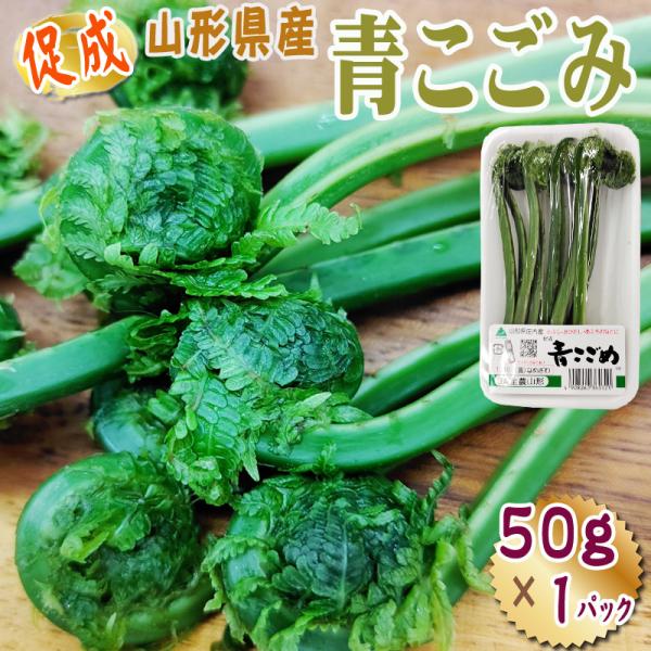 山形県では、山菜やきのこを活かした食文化が古くから根付き、雪深い冬の厳しい寒さの間に、ビニールハウス内で加湿し栽培する「促成山菜」の栽培が行われています。美味しいのはもちろん、天ぷら、炊き込みご飯、和え物、肉巻き、おひたし、煮物やパスタの具...