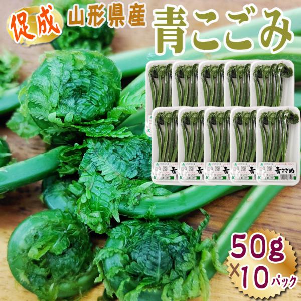 山形県では、山菜やきのこを活かした食文化が古くから根付き、雪深い冬の厳しい寒さの間に、ビニールハウス内で加湿し栽培する「促成山菜」の栽培が行われています。美味しいのはもちろん、天ぷら、炊き込みご飯、和え物、肉巻き、おひたし、煮物やパスタの具...