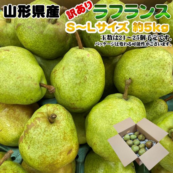【発売日：2026年11月10日】●注意事項 ・Sサイズ、Mサイズ、Lサイズの混合となりますが、SサイズやMサイズが多く入る場合がございます。サイズのご指定やご希望は出来ません。ご了承ください。        ・表記の発売日の発送ではござま...
