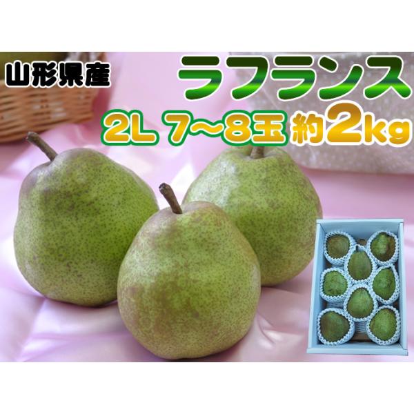 【発売日：2025年11月10日】