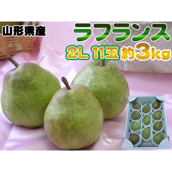 【発売日：2025年11月10日】