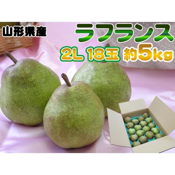 【発売日：2025年11月10日】