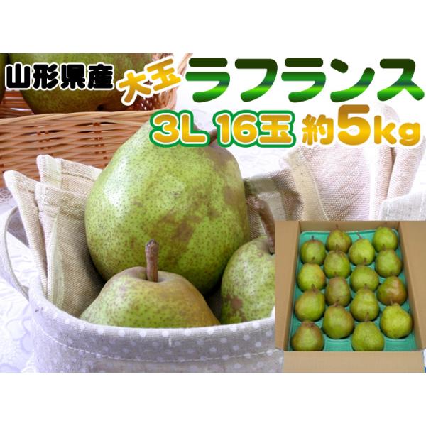 【発売日：2025年11月10日】